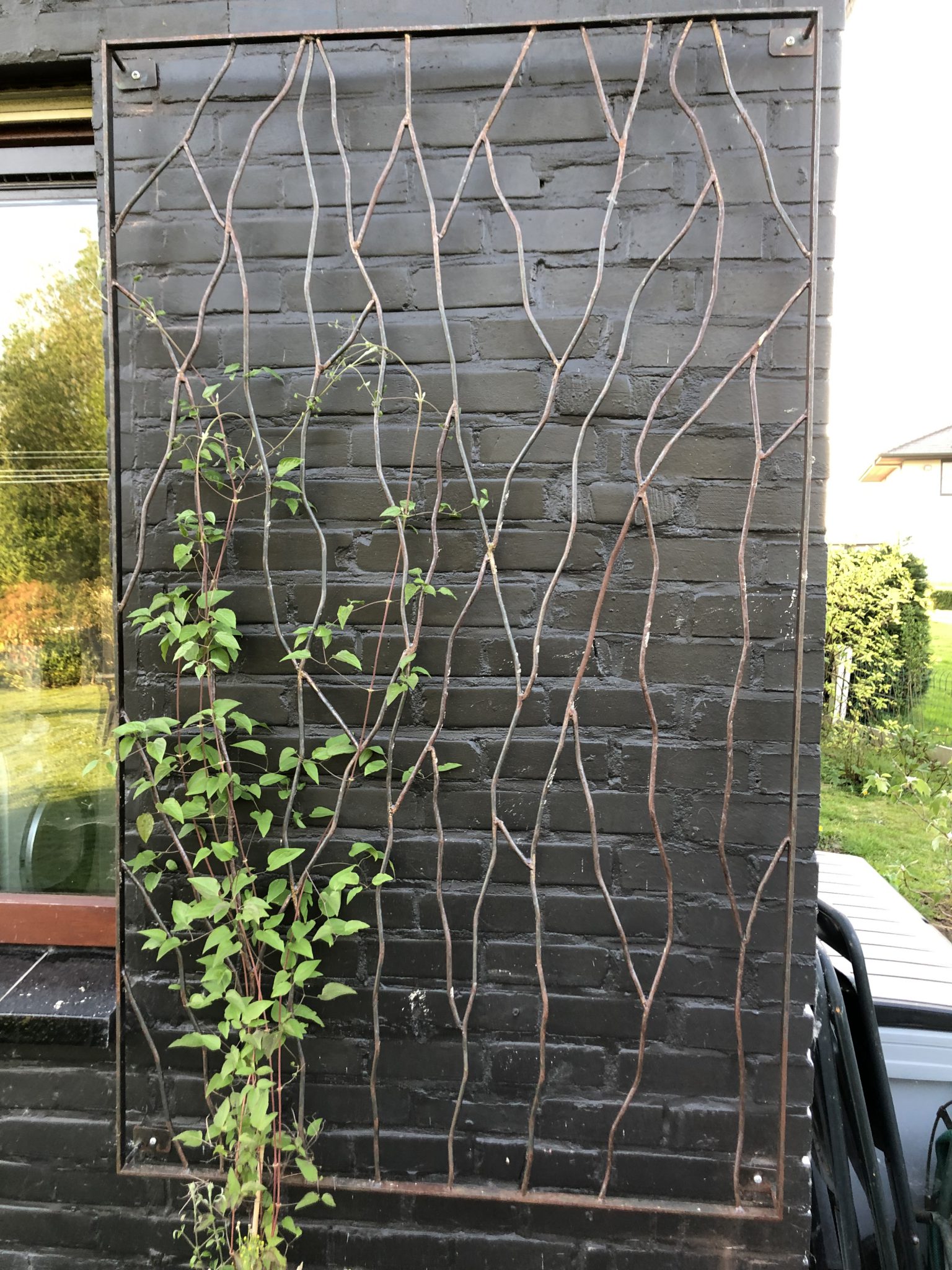 Wandrek klimplanten #5 - Klimrekken voor planten