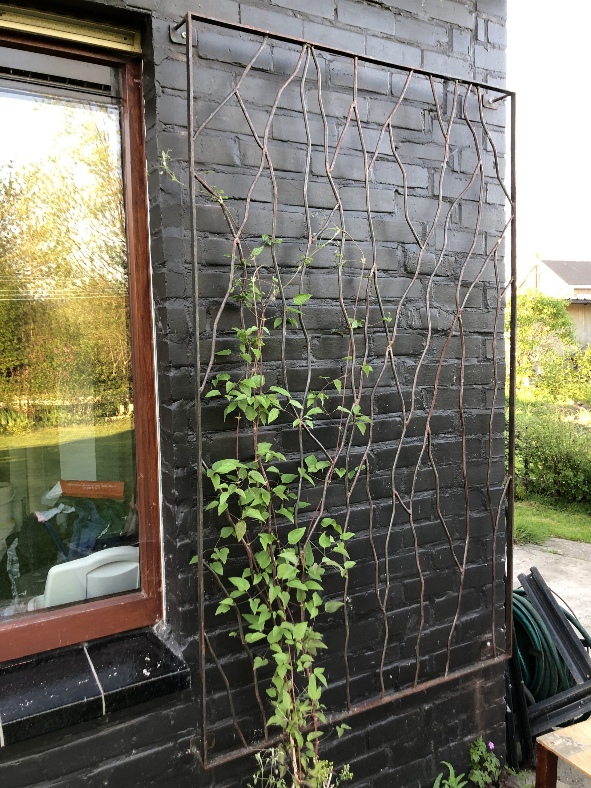 Wandrek klimplant #2 - Klimrekken voor planten